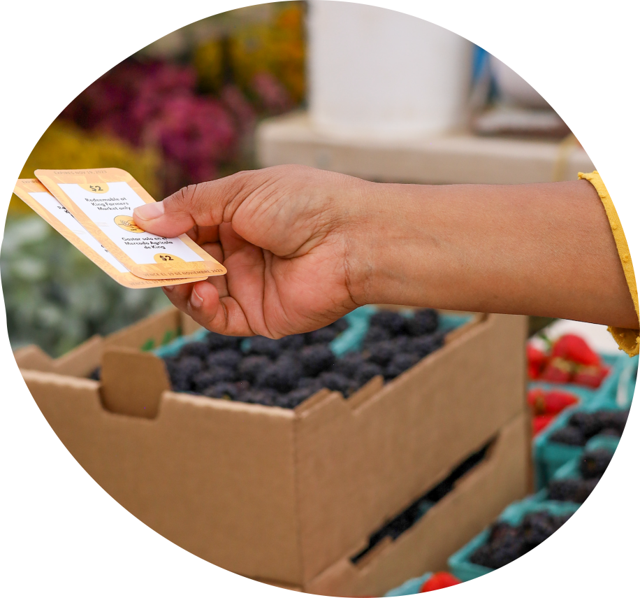 home - /copy - My Suma